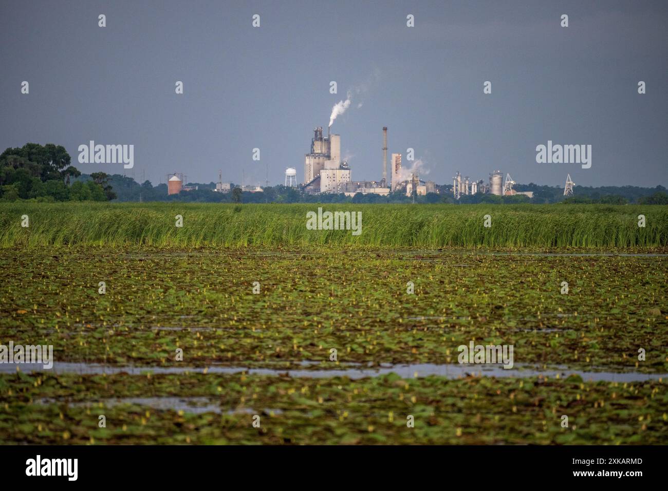 International Paper Mill - Port Wentworth, Georgia - July 2024 ...