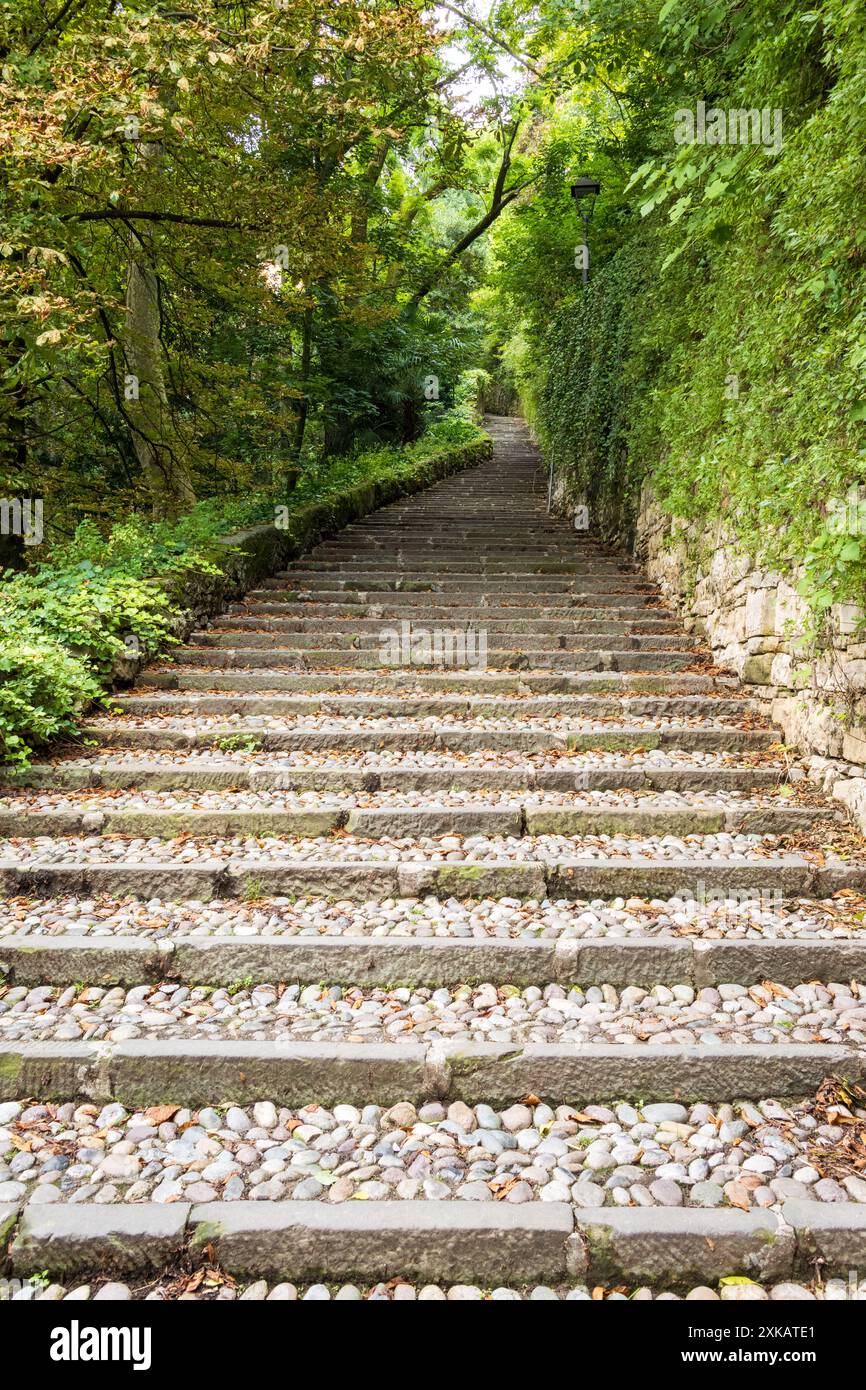 A stone, tree-lined path on the edge of Bergamo old town - Citta Alta ...
