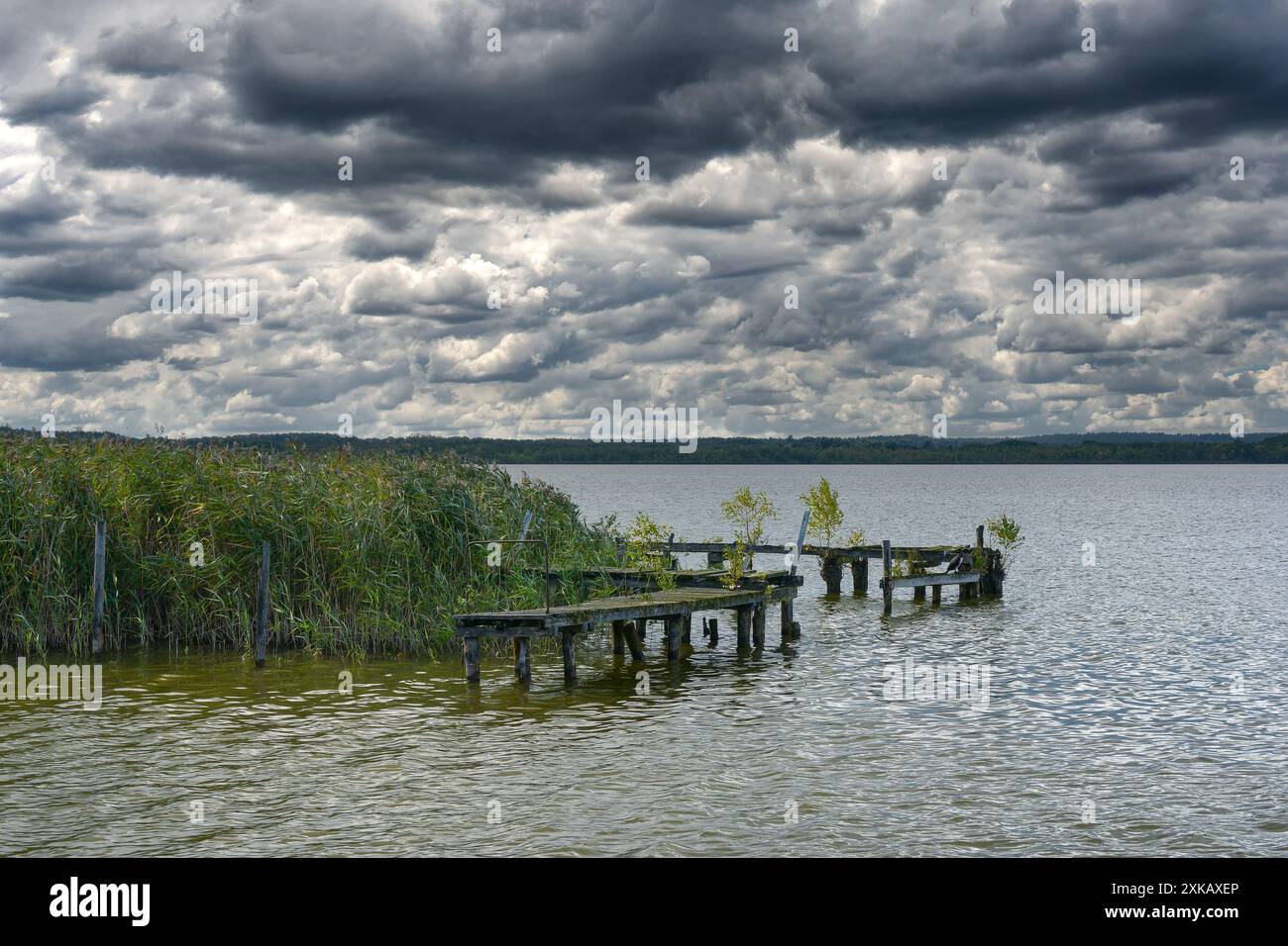Lake Müritz in Müritz National Park,Mecklenburg Lake District,Germany ...
