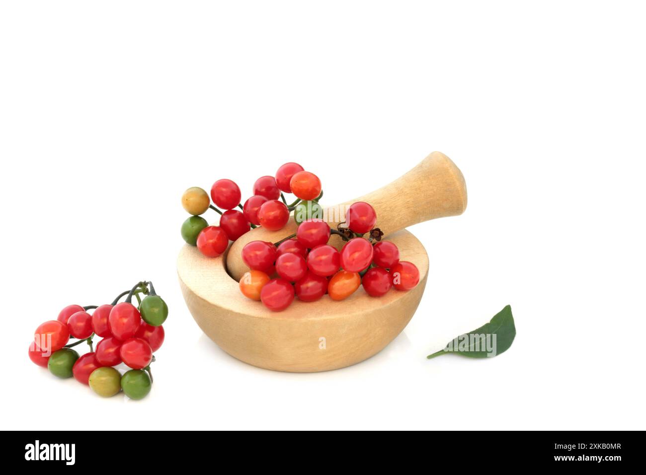 Deadly nightshade traditional herbal medicine, red berries in mortar ...