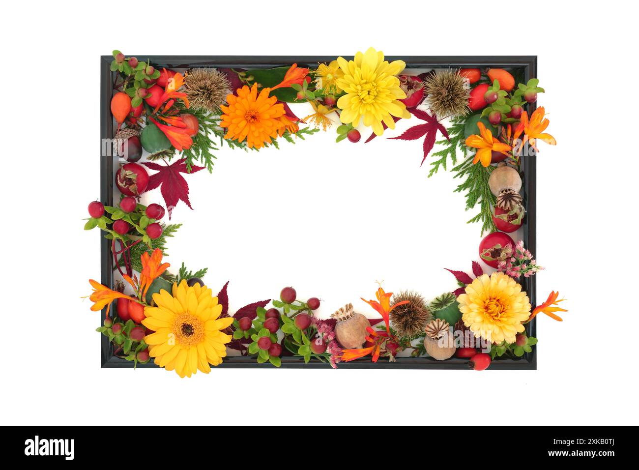 Falling red autumn leaves border hi-res stock photography and images ...