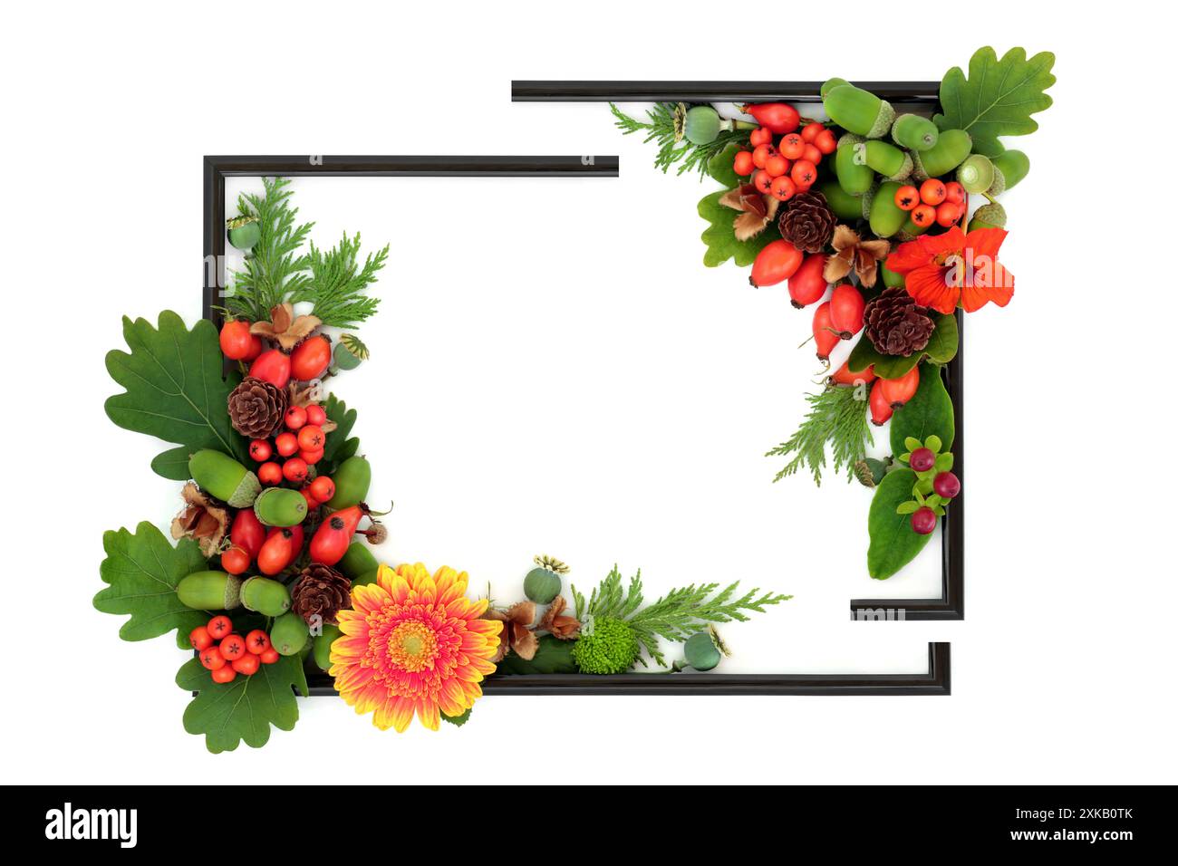 Colorful autumn flower border Cut Out Stock Images & Pictures - Alamy