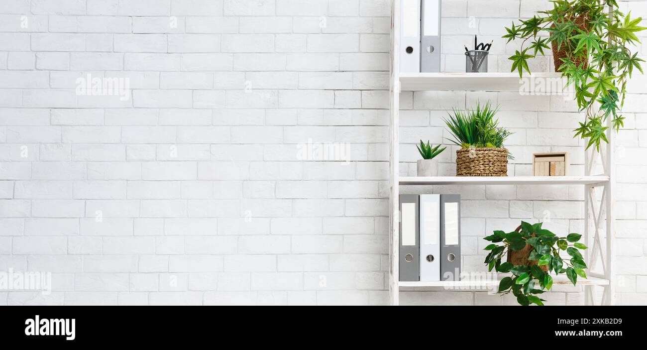 Office bookcase with plants and folders over wall Stock Photo - Alamy