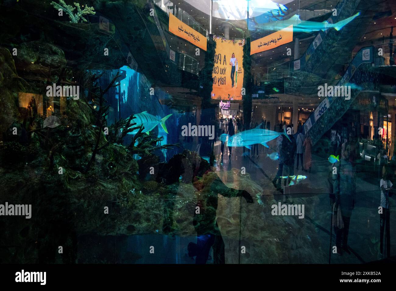 Fish and shark in the aquarium at the big shopping centre Morocco Mall ...