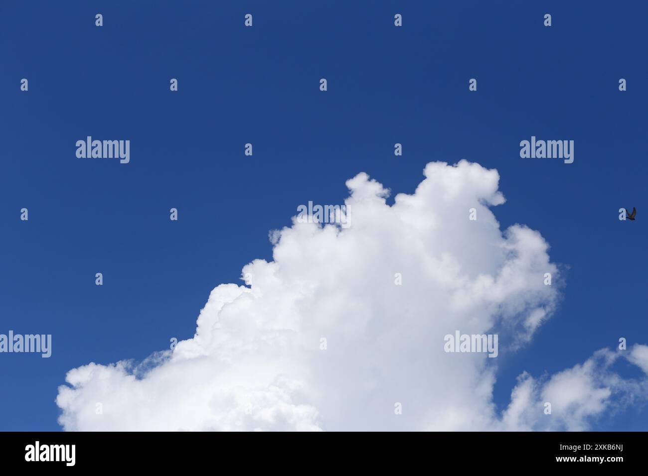 The sky with white clouds, view for natural landscape design., view for ...