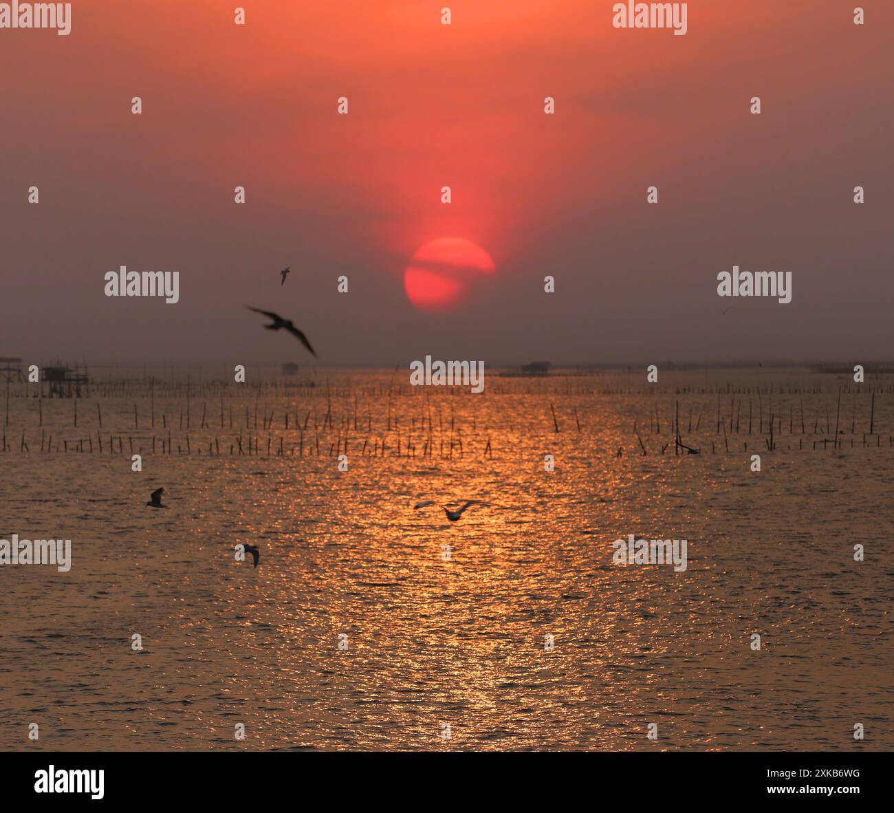 Smooth sea and twilight sky in the background after sunset Sky view for ...