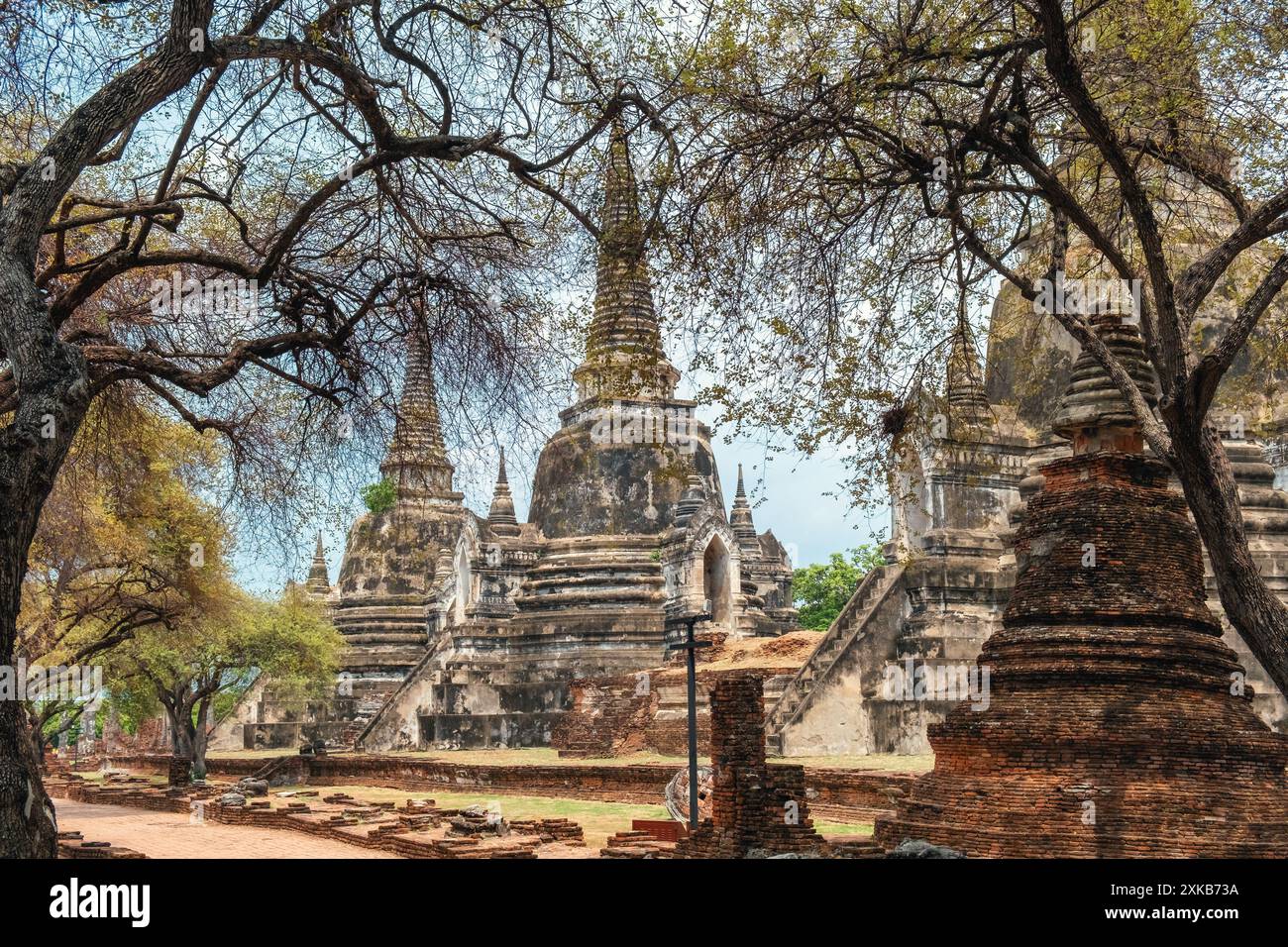 Ancient city Ayutthaya with Wat Phra Si Sanphet temple with Chedis in ...