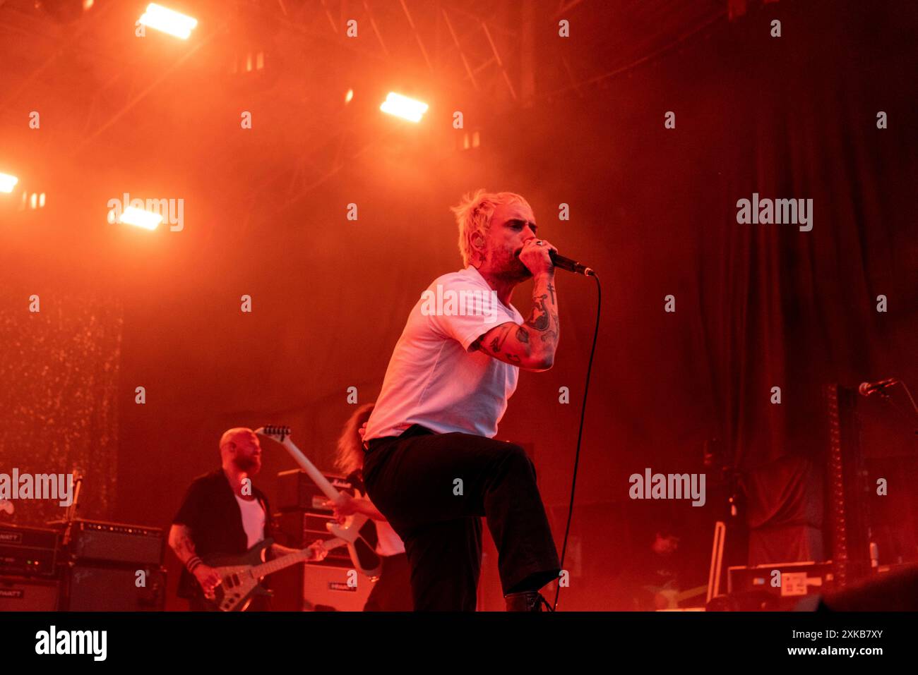 The Wyldes Festival, Near Bude, Cornwall, 21st July, 2024: British punk ...