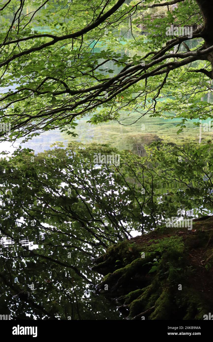 Crystal spring lake hi-res stock photography and images - Alamy