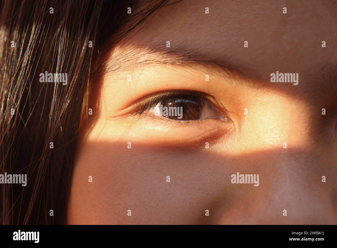 Eyes of a lovely girl and evening sunlight hit the face, making it look ...