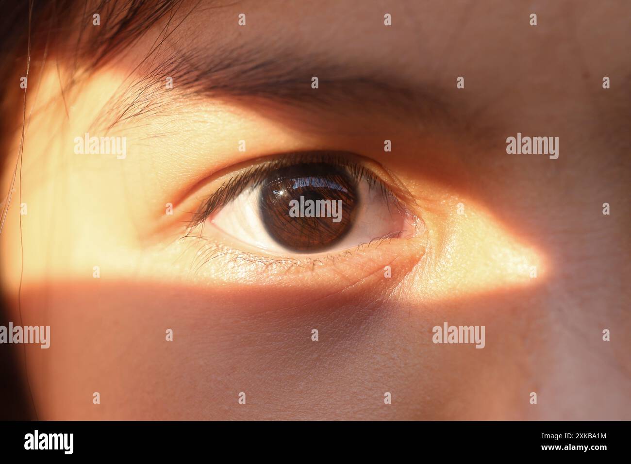 Eyes of a lovely girl and evening sunlight hit the face, making it look ...