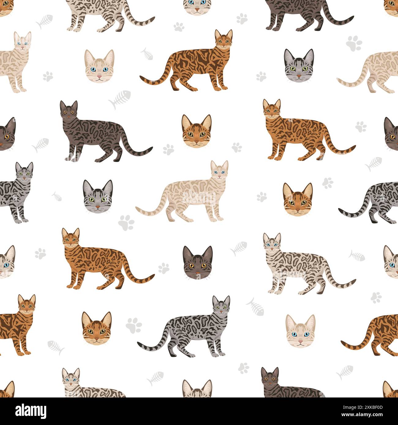 Bengal Cat seamless pattern. All coat colors set. All cat breeds ...