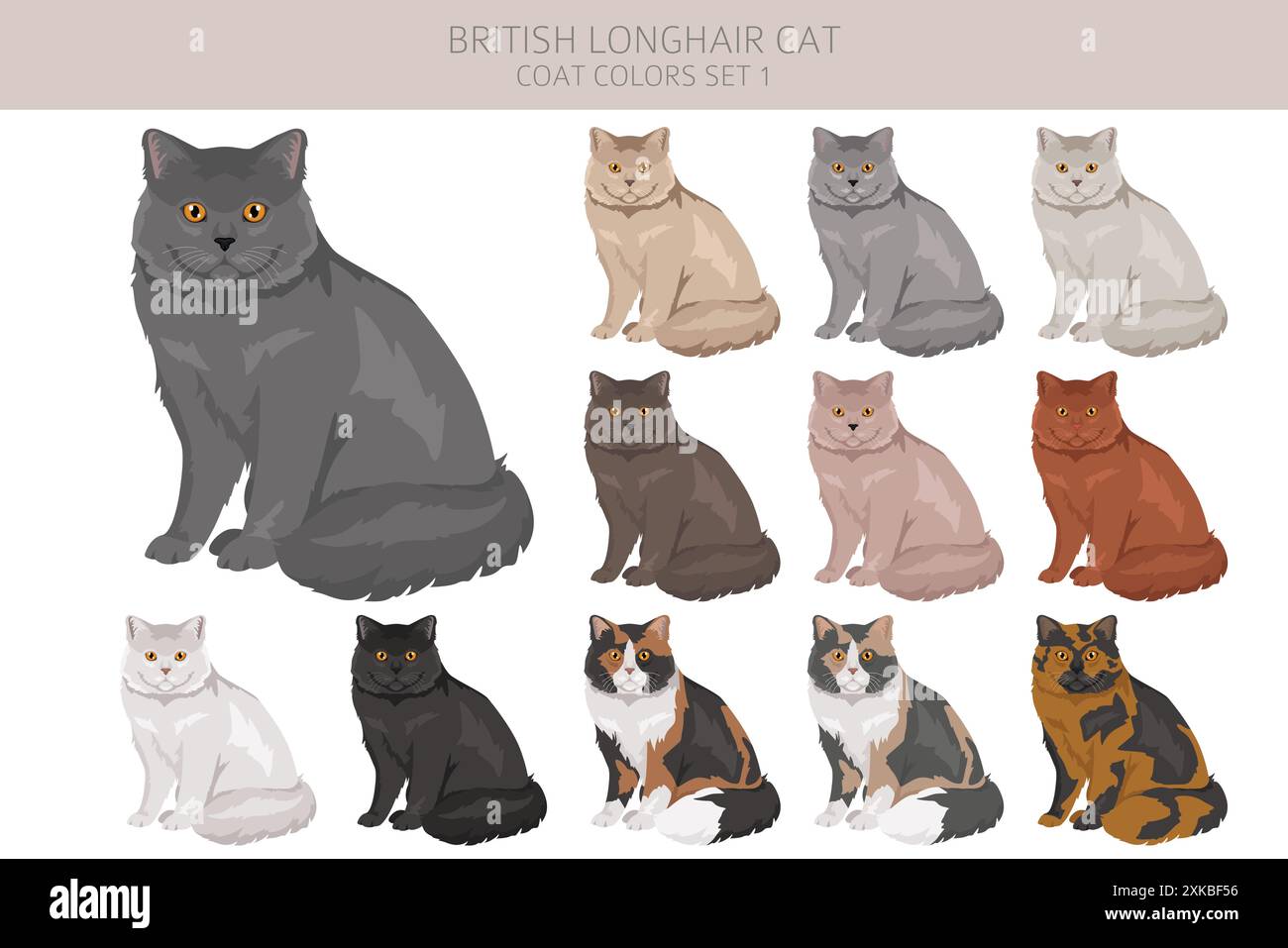 British longhair Cat clipart. All coat colors set. All cat breeds ...