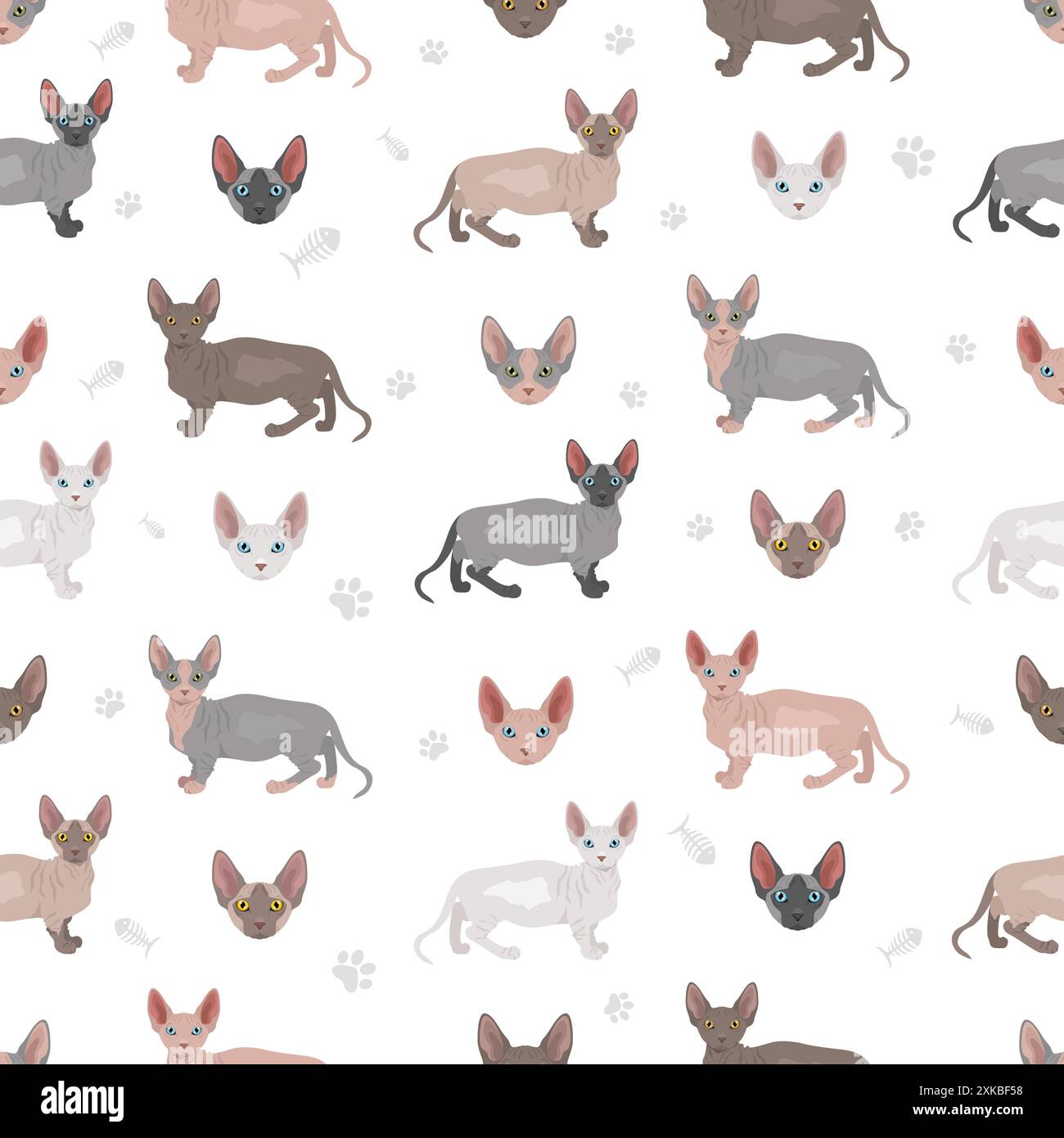 Munchkin sphynx Stock Vector Images - Alamy
