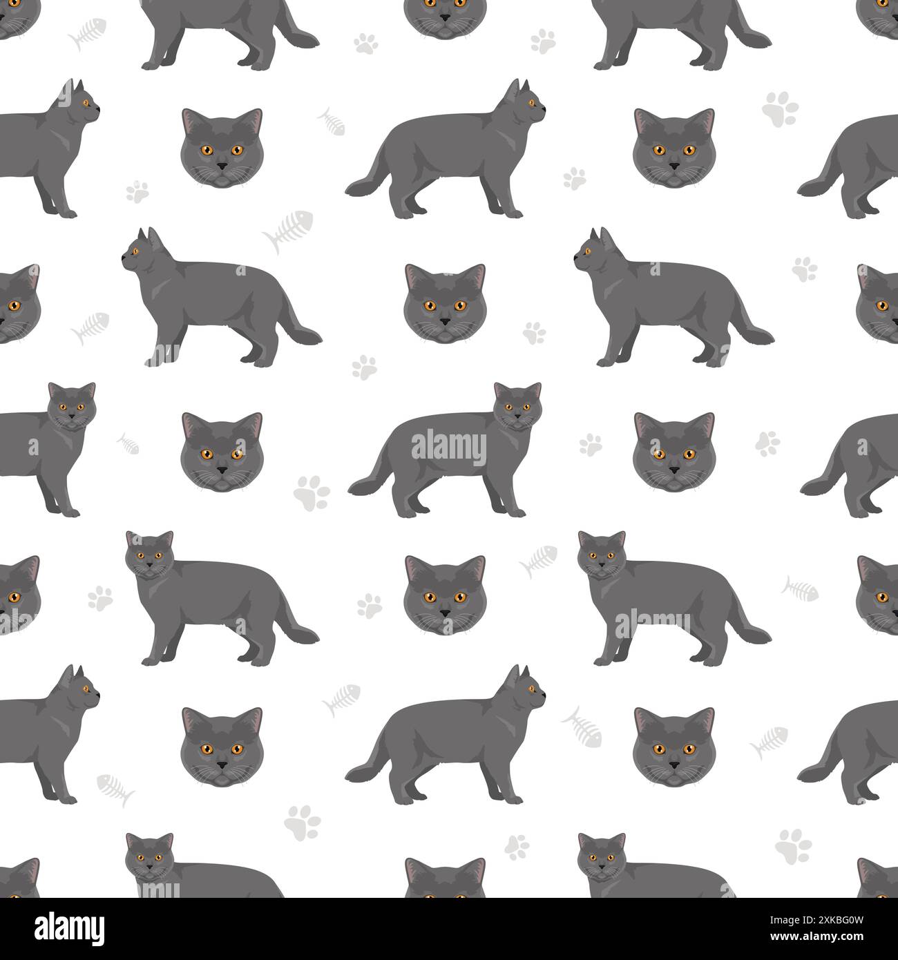British shorthair Cat seamless pattern. All coat colors set. All cat ...