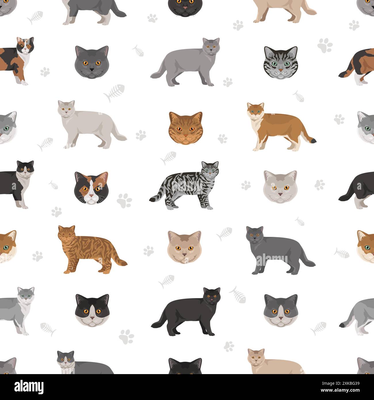 British shorthair Cat seamless pattern. All coat colors set. All cat ...