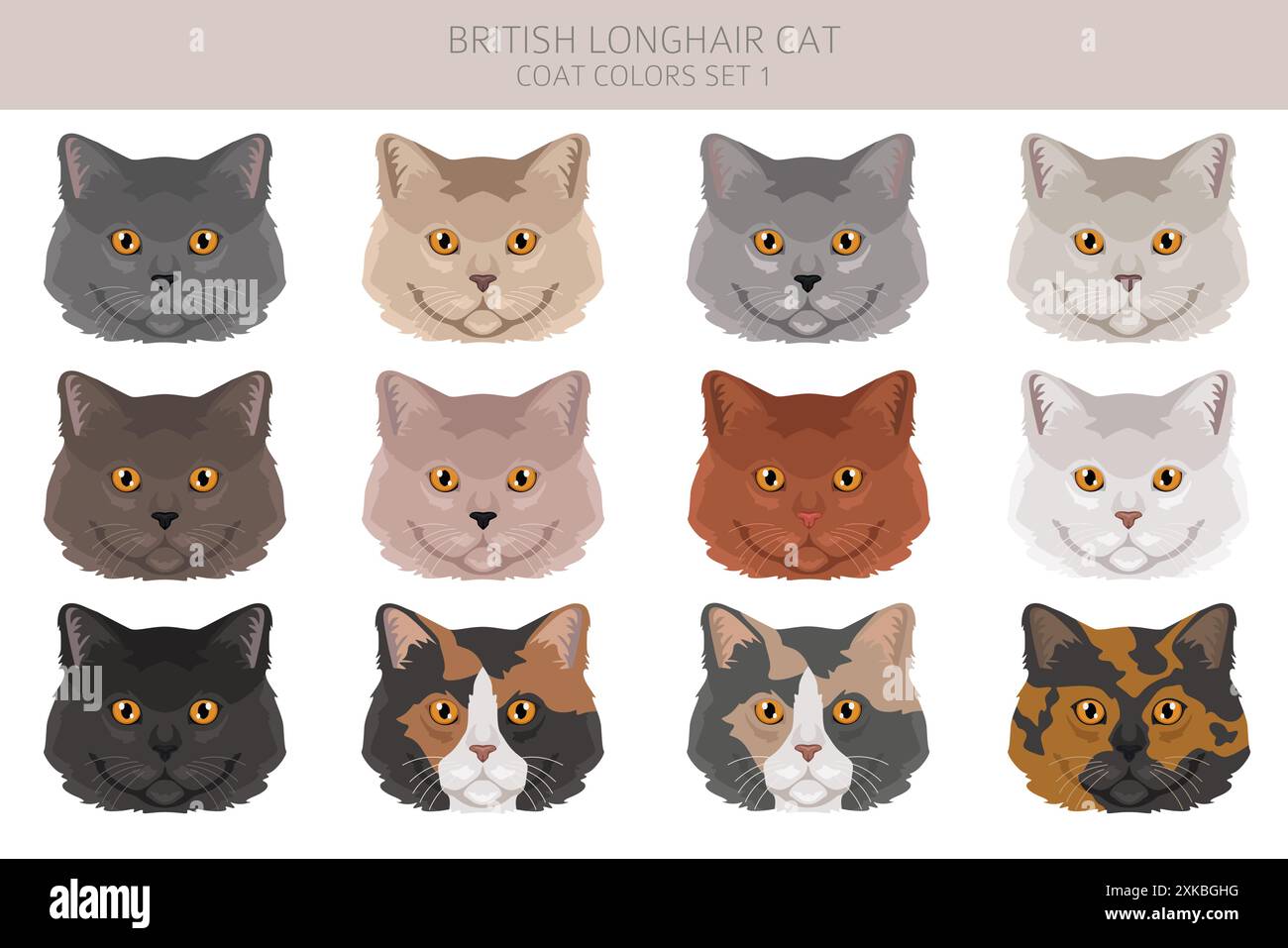 British longhair Cat clipart. All coat colors set. All cat breeds ...