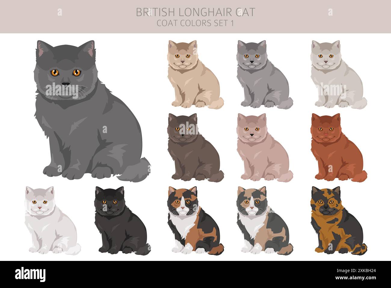 British longhair Cat clipart. All coat colors set. All cat breeds ...