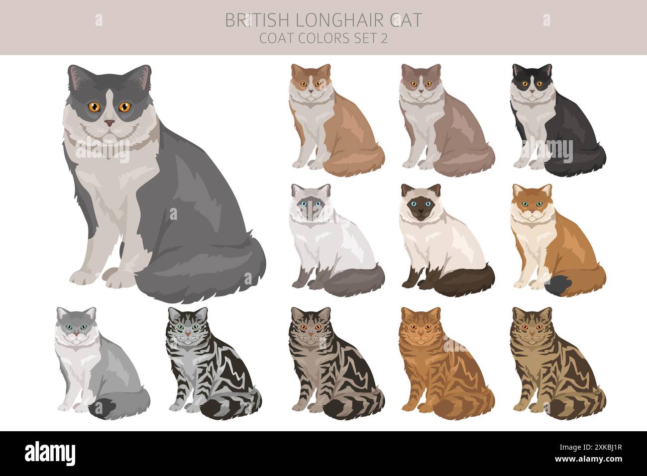British longhair Cat clipart. All coat colors set. All cat breeds ...