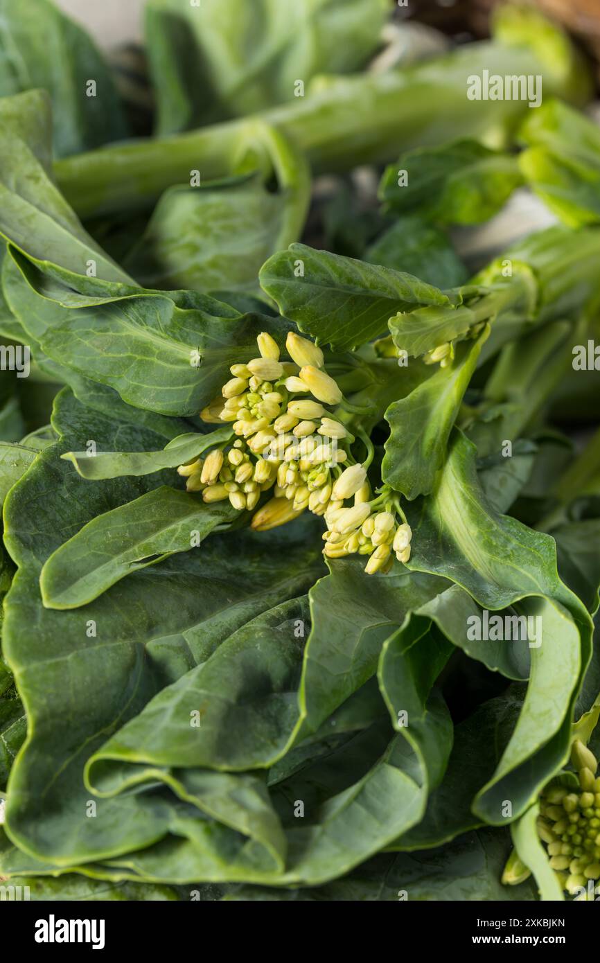Chinese broccoli plant hi-res stock photography and images - Alamy