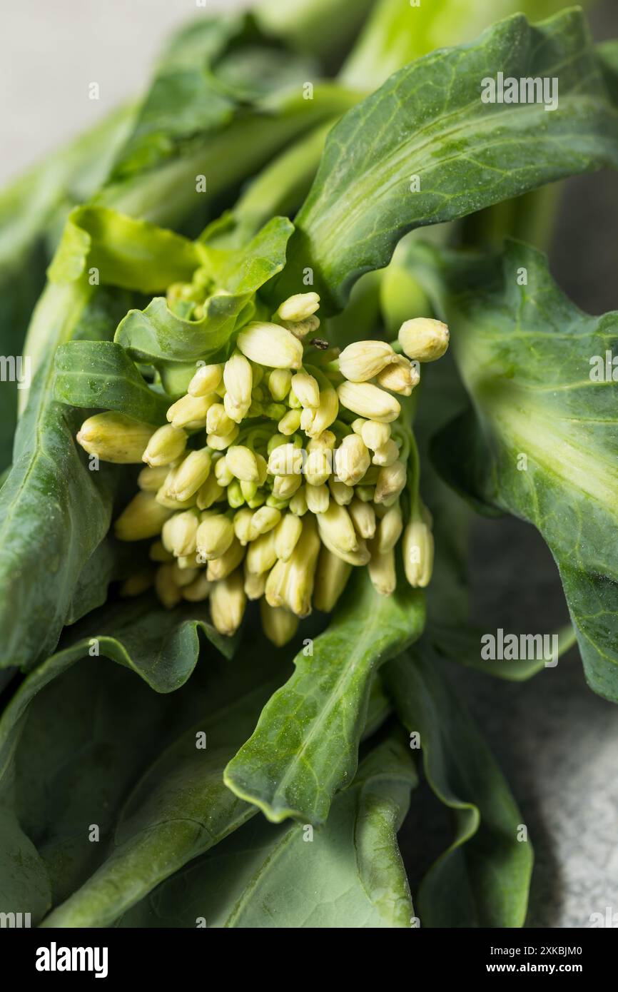 Raw Green Organic Asian Chinese Broccoli Ready to Cook Stock Photo - Alamy