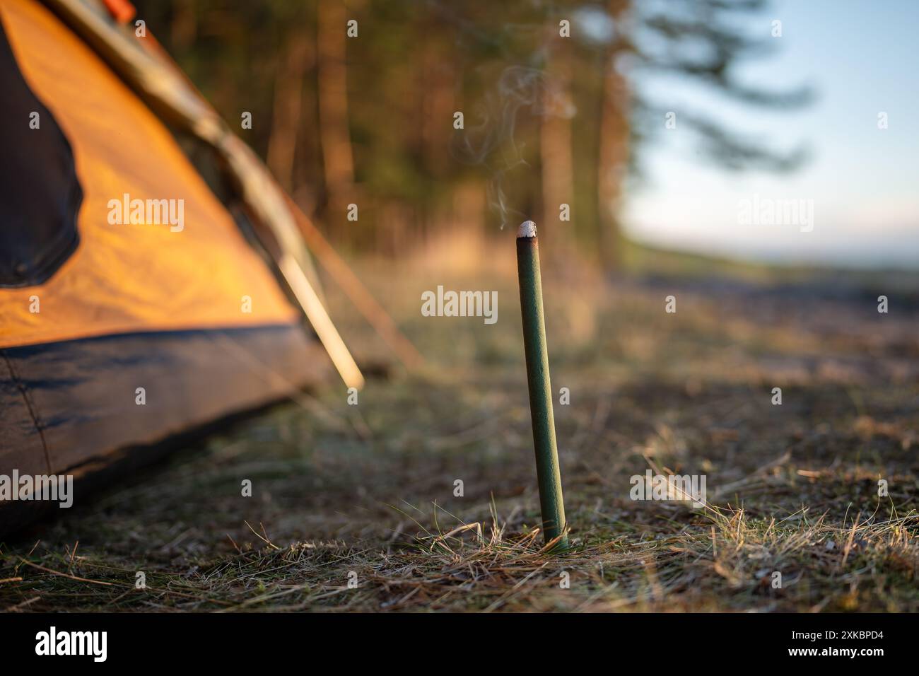 Repellent coil fumigator - smoldering mosquito rod for repelling ...