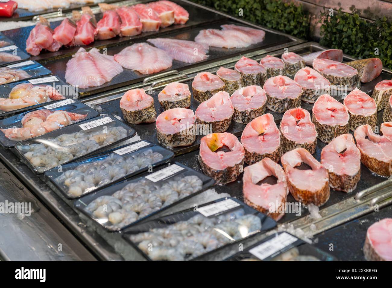 Display of various fish hi-res stock photography and images - Alamy