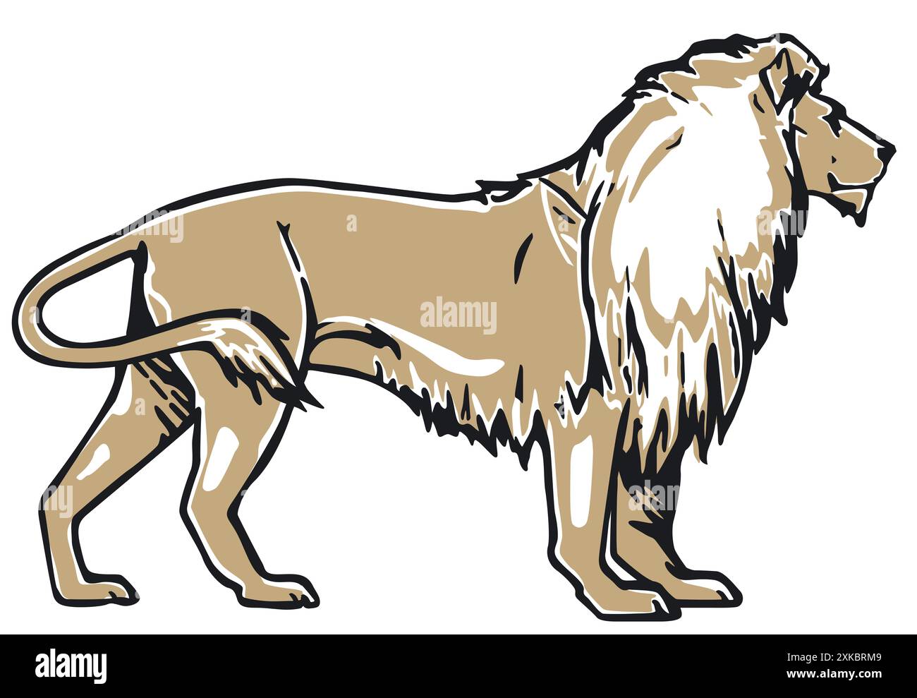 Male representation graphic Cut Out Stock Images & Pictures - Alamy