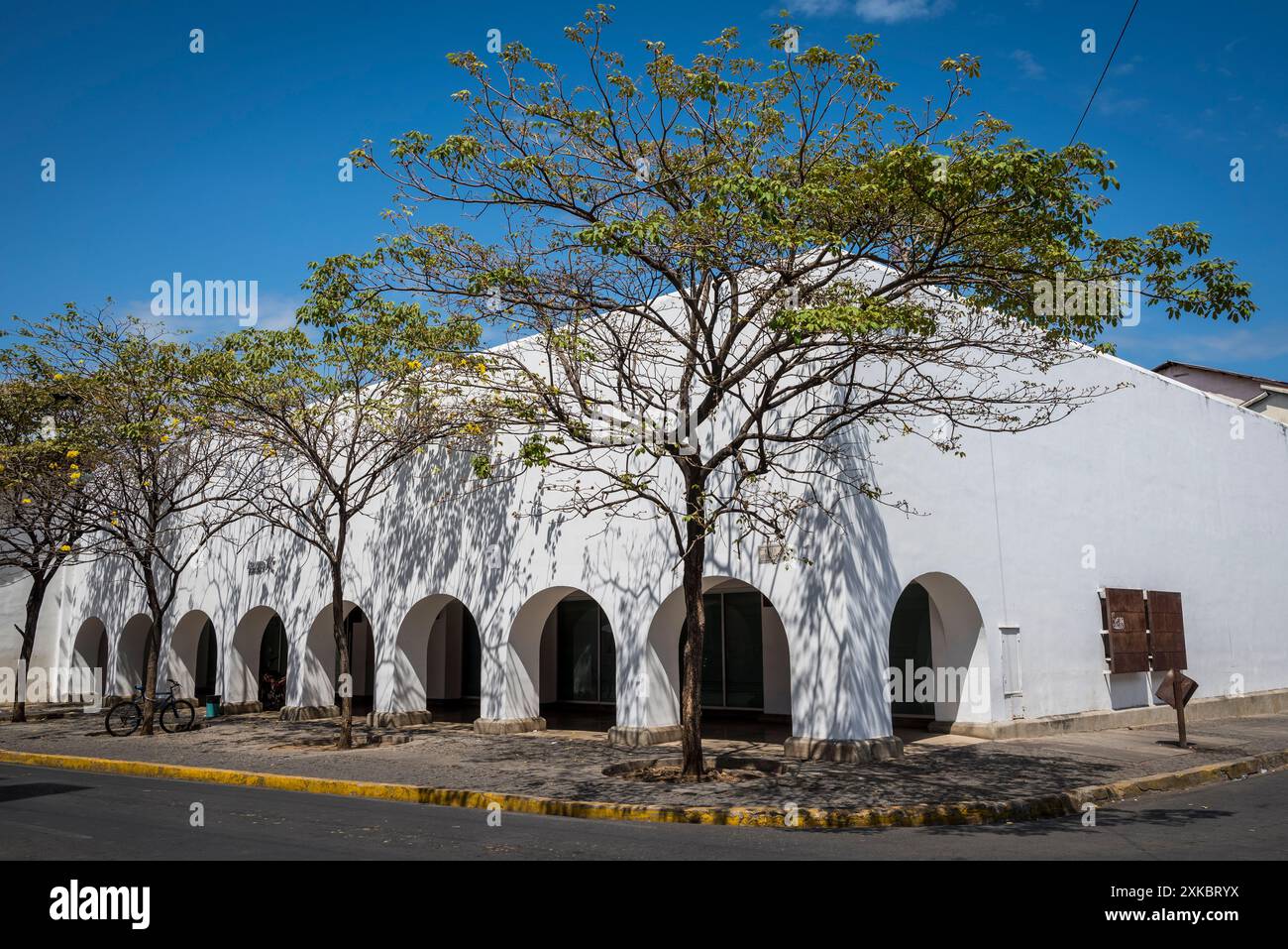 Spanish colonial trees hi-res stock photography and images - Alamy
