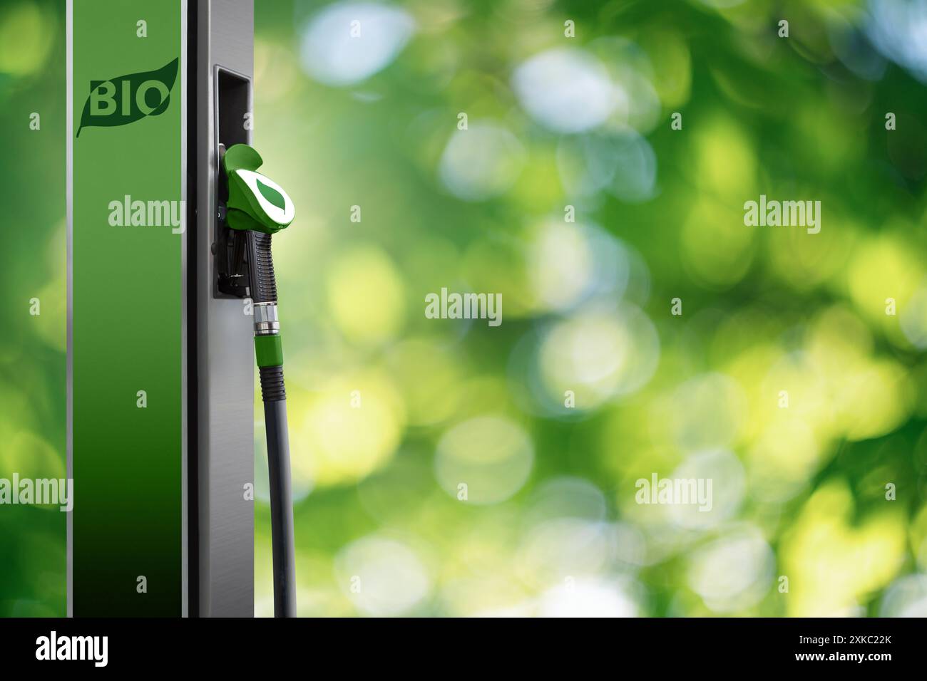 Biofuel resources hi-res stock photography and images - Alamy