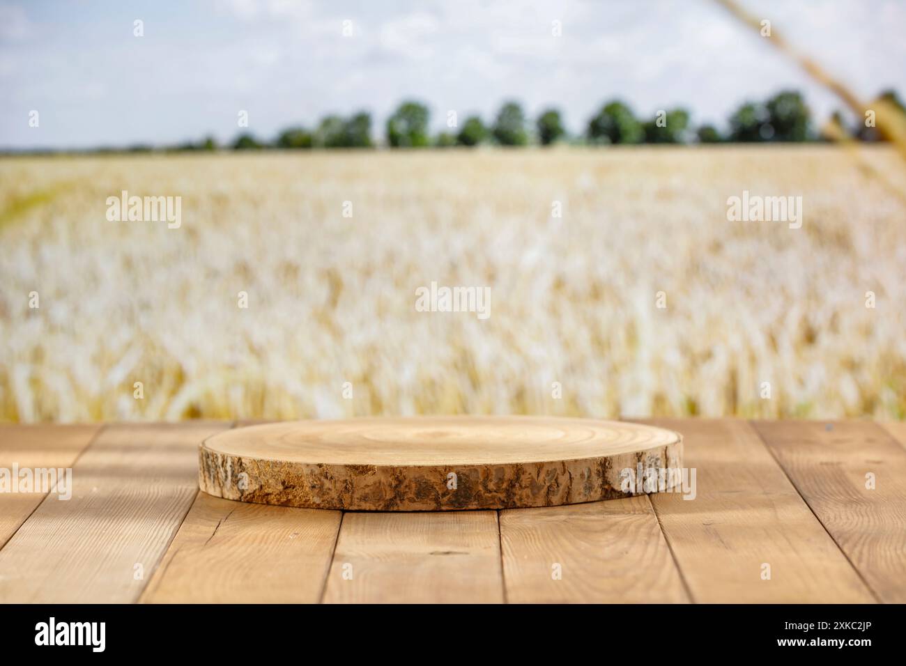 Empty wooden table with countryside fields background and copy space ...