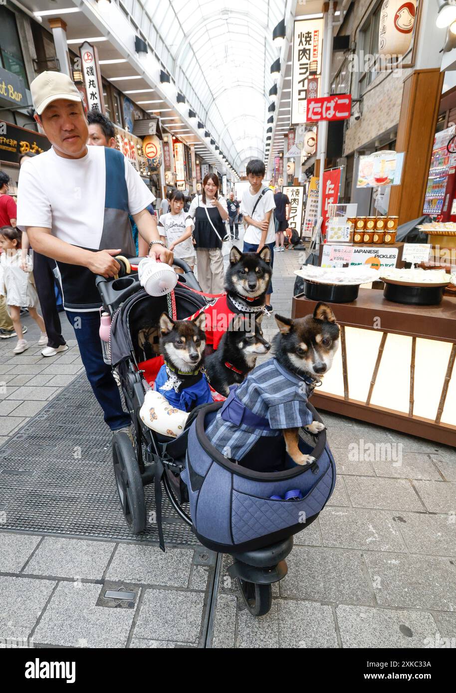 Pet stroller hi-res stock photography and images - Alamy