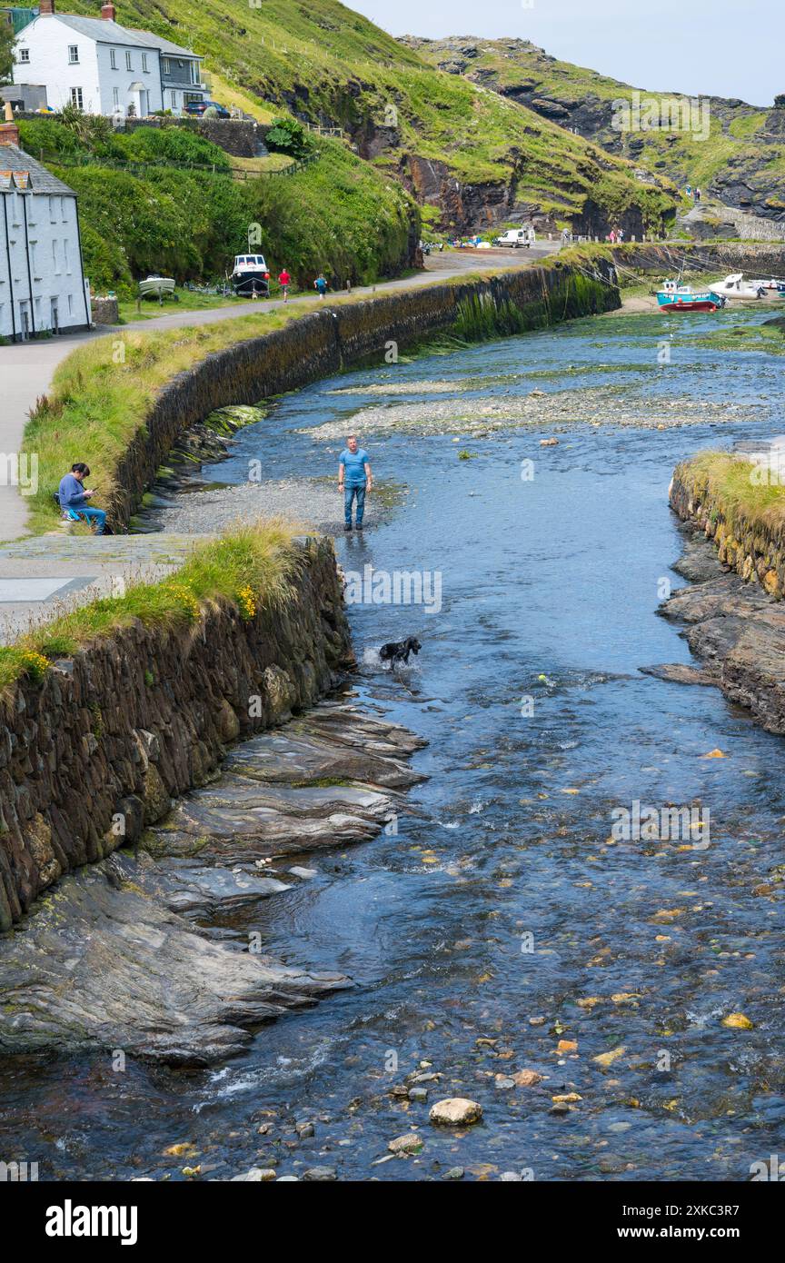 Man playing ball with dog in River Valency which runs through village ...