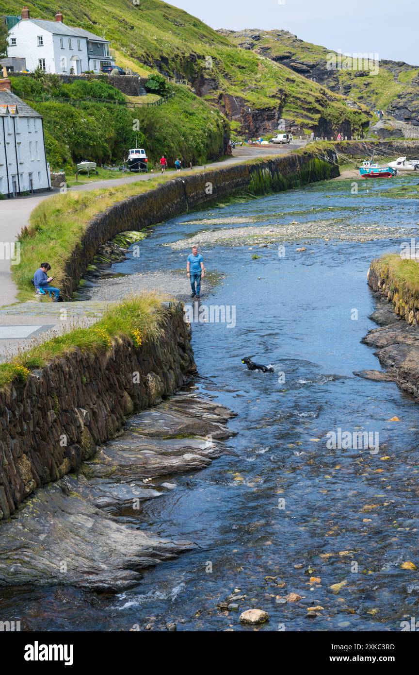 Man playing ball with dog in River Valency which runs through village ...