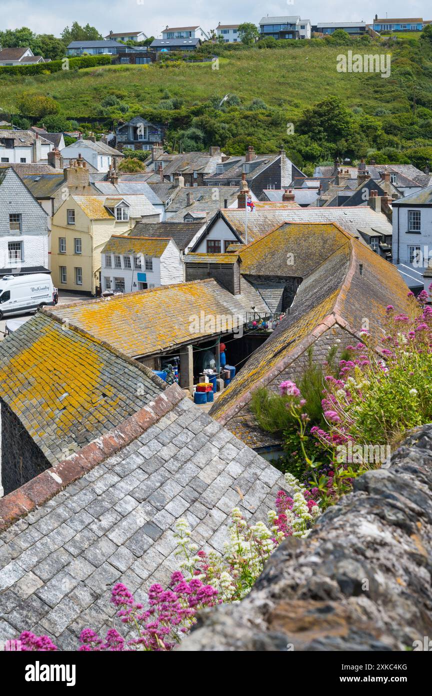 View from Roscarrock Hill over Port Isaac village and harbour Cornwall ...