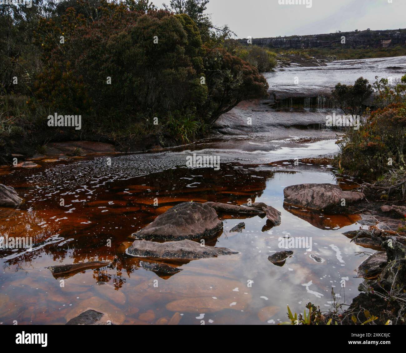 Stream on the sandstone plateau of Auyan Tepui, Venezuela Stock Photo ...