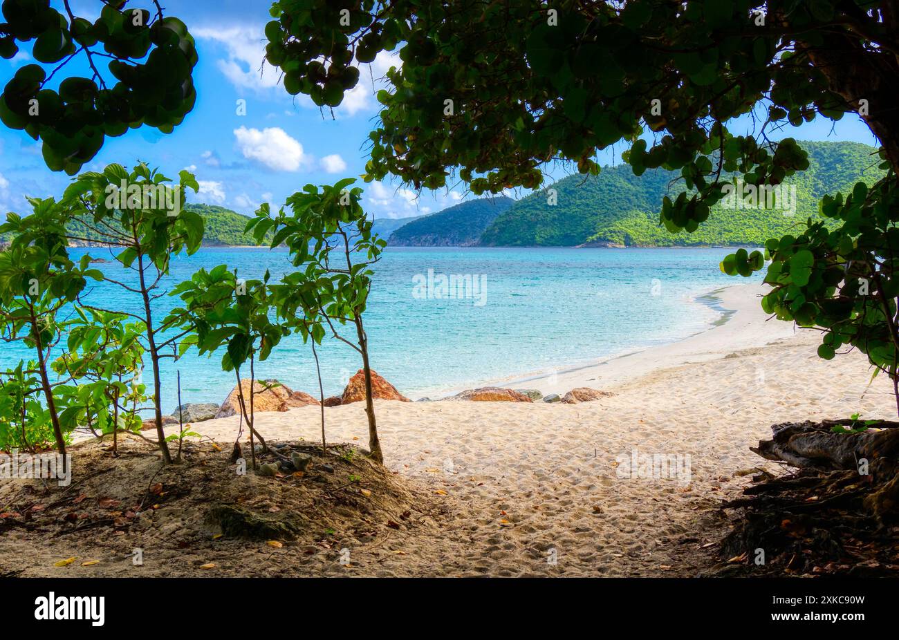 Cinnamon Bay beach in the Virgin Islands National Park on the island of ...