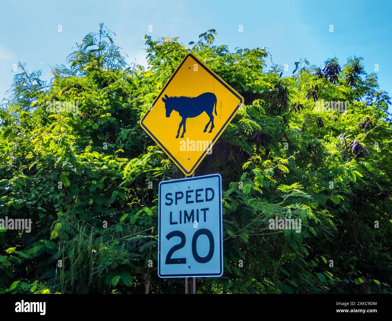 Caribbean road sign hi-res stock photography and images - Alamy