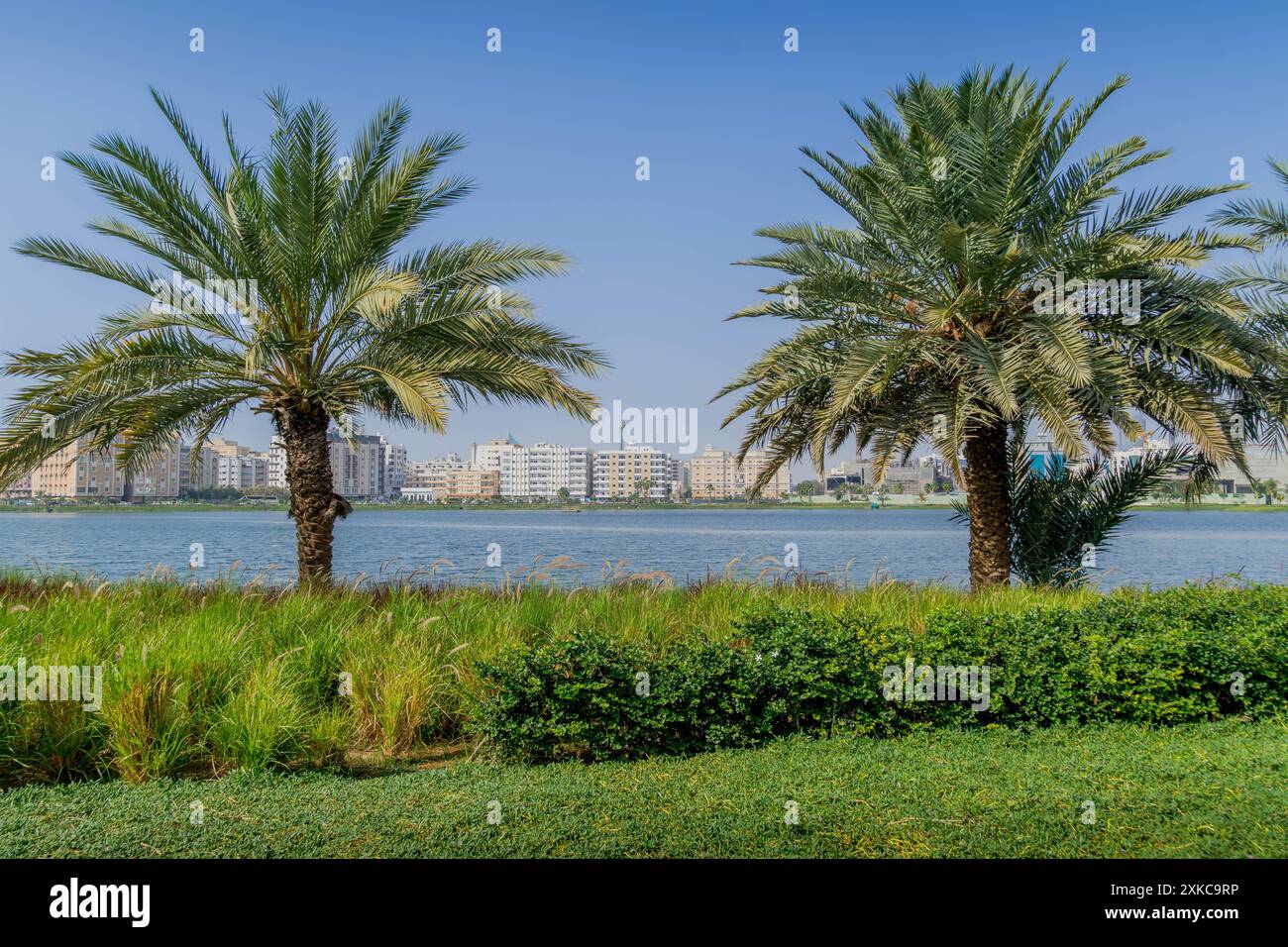 The palms and promenade (Corniche) at Jeddah waterfront, Saudi Arabia ...