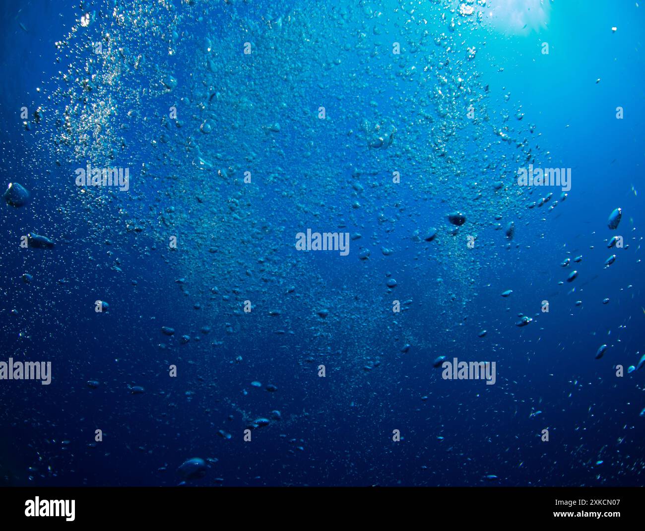 Columns of bubbles rise to the surface underwater Stock Photo - Alamy