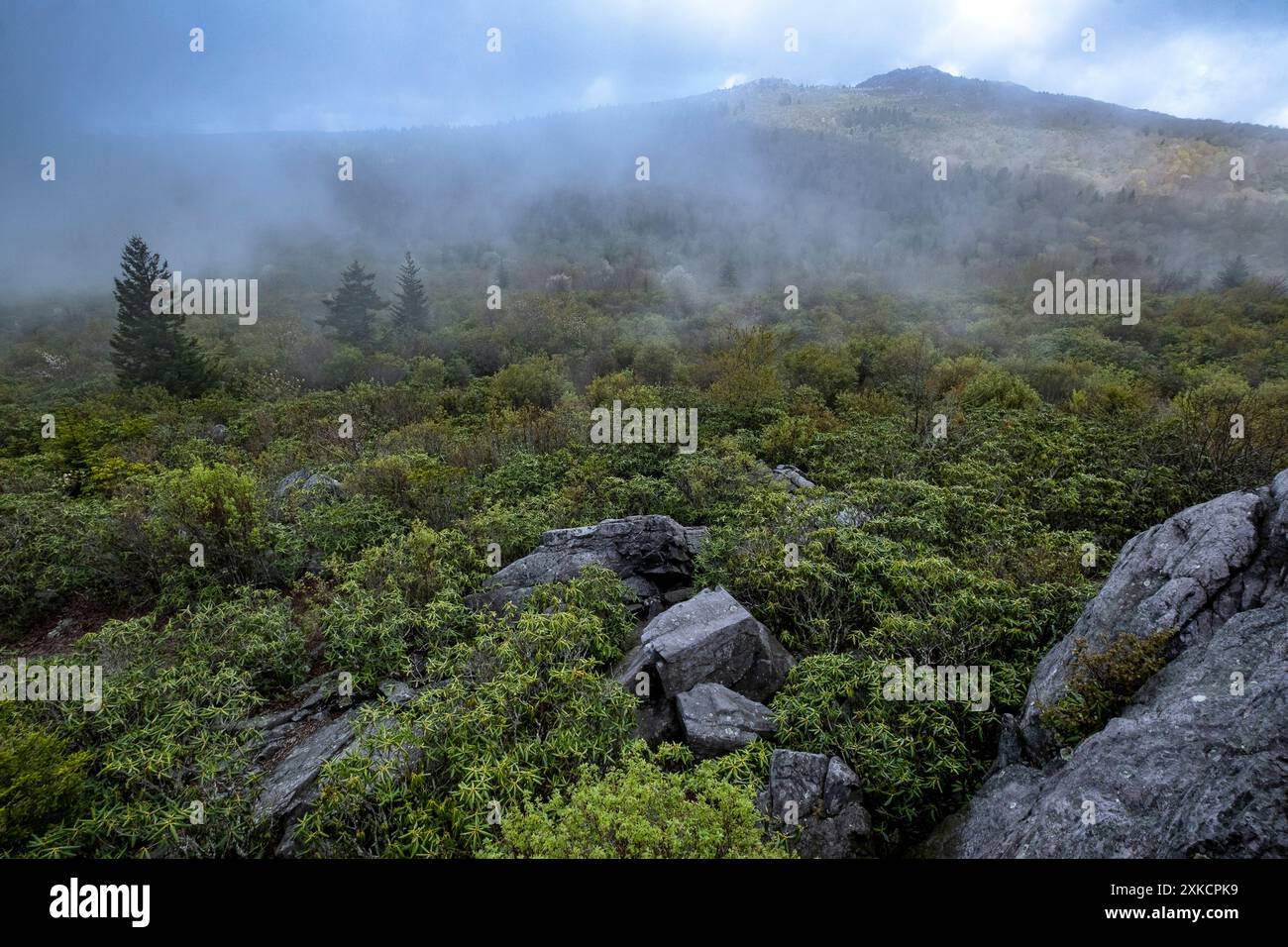 Grayson peak hi-res stock photography and images - Alamy