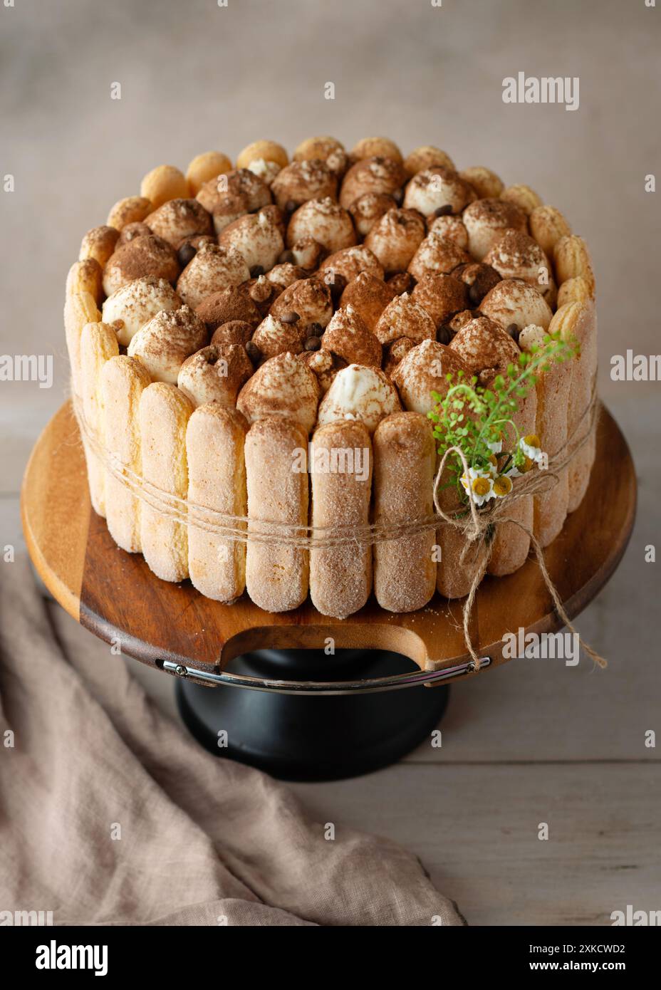 Delicious homemade tiramisu cake traditional hi-res stock photography ...
