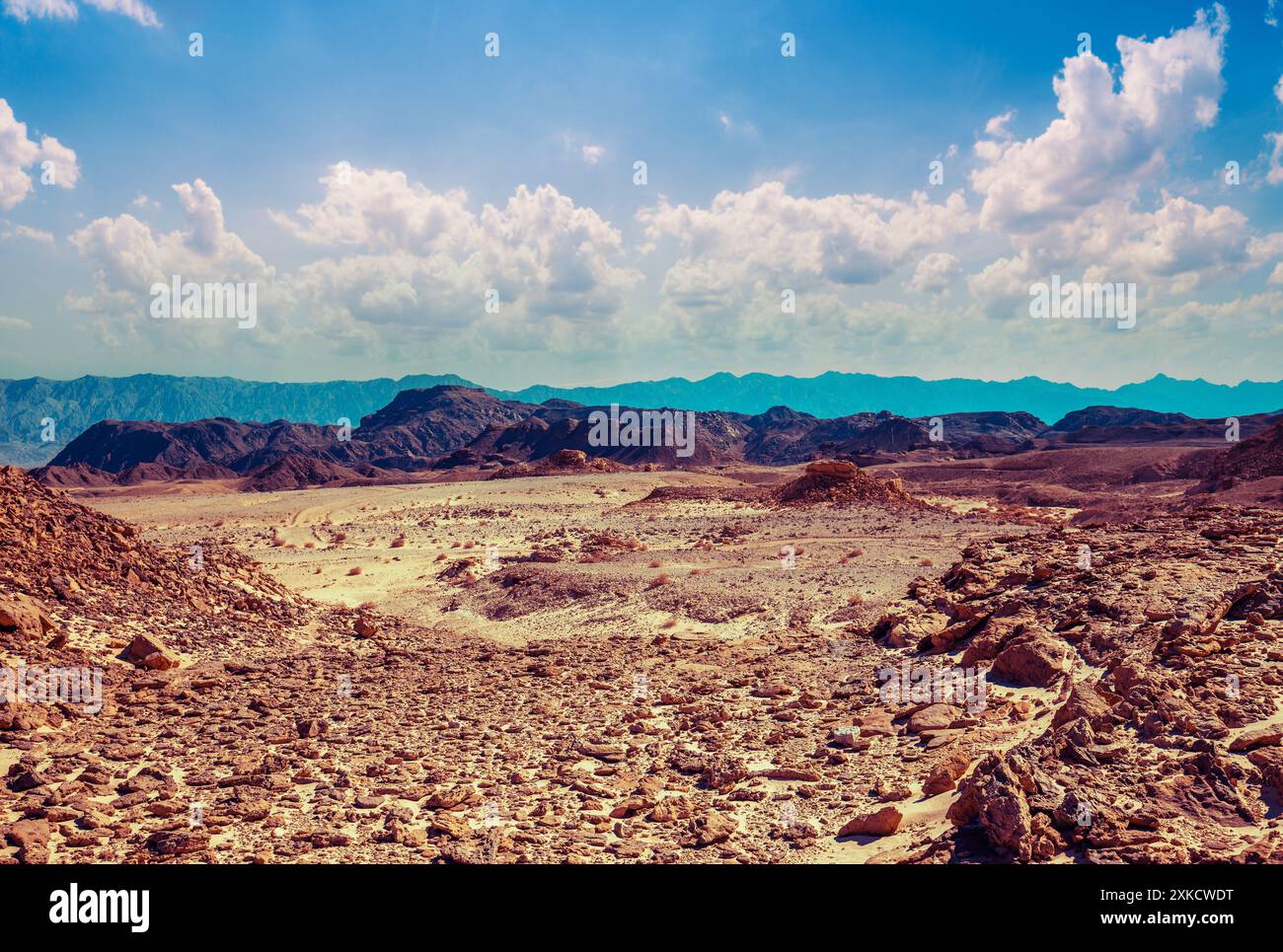 Desert natural landscape hi-res stock photography and images - Alamy