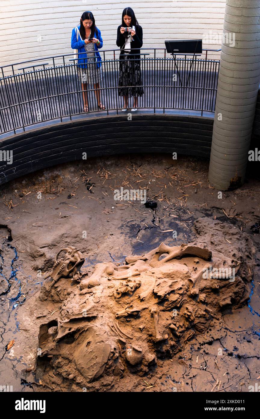 Two visitors view an open tar pit with exposed fossils at La Brea Tar ...