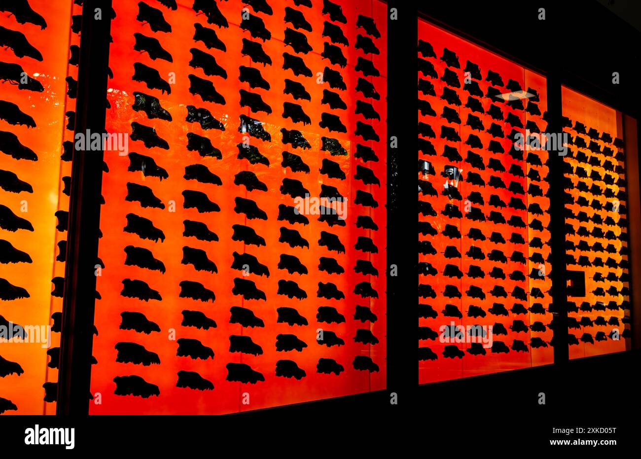 A dramatic display of dire wolf skulls against an illuminated orange ...
