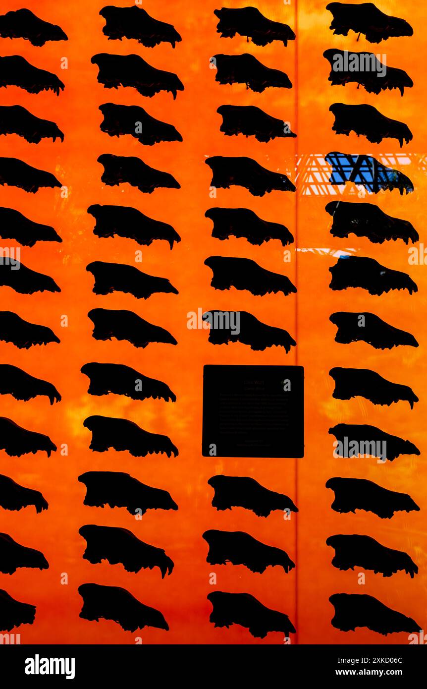A dramatic display of dire wolf skulls against an illuminated orange ...