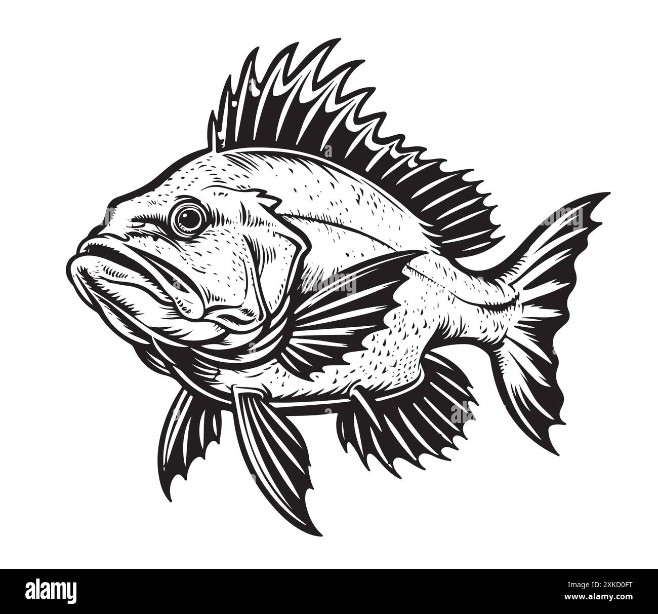 European Sea Bass Characteristics Habitat Reproduction