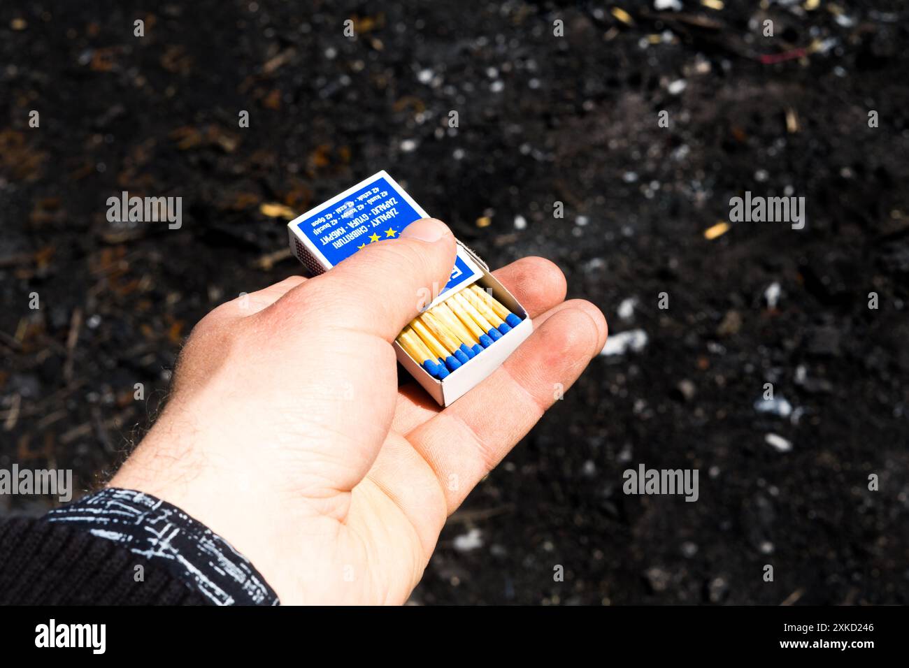 Setting fire to a picnic fire . Burning matches in hands Stock Photo ...