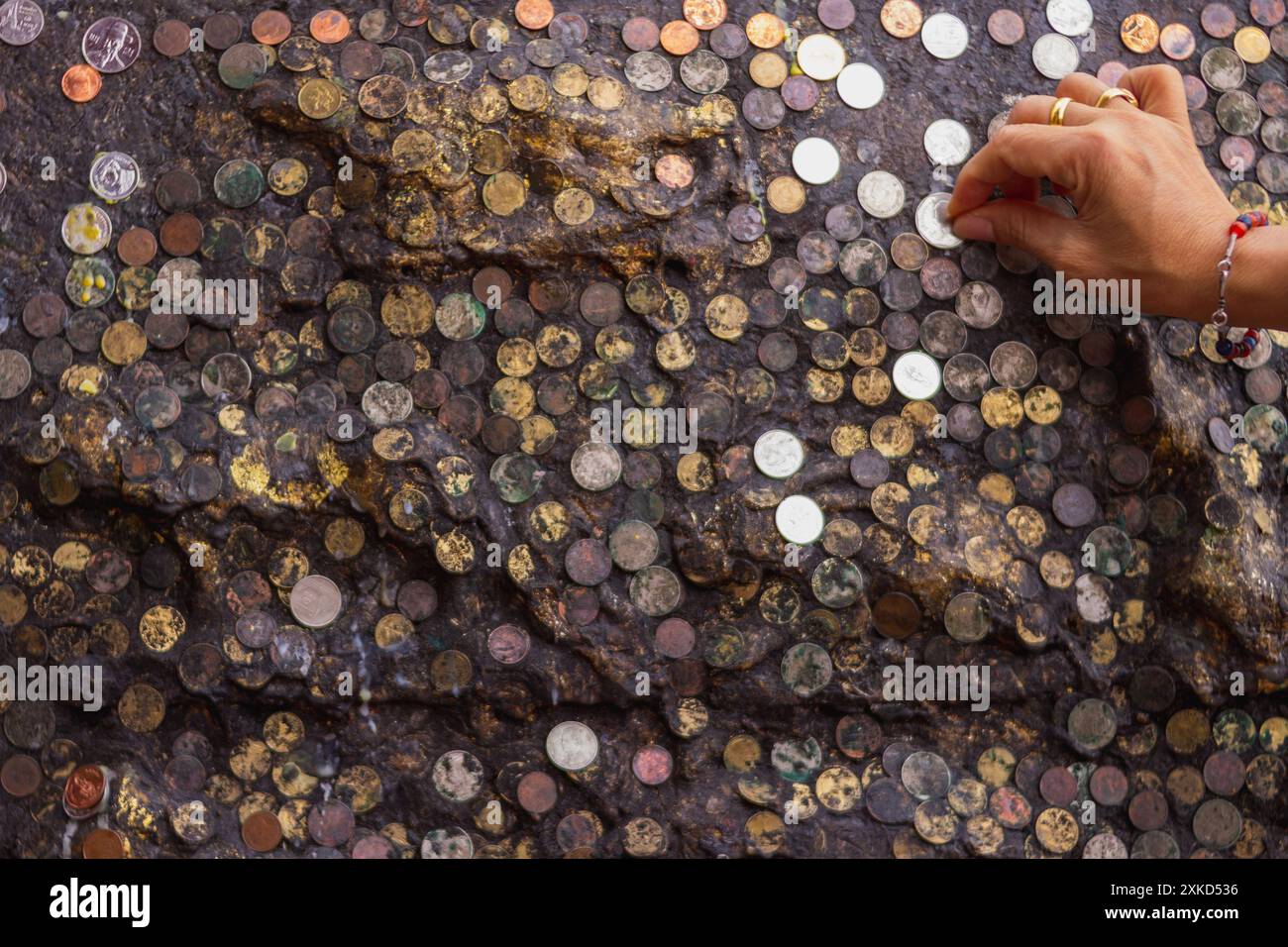 The blurry and dark background of the wall is adorned with ...