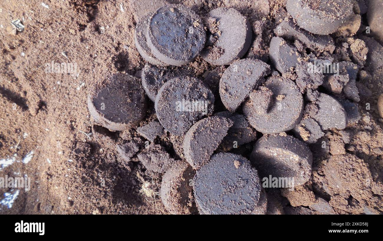 Coffee lumps and grounds are collected in containers after coffee has ...